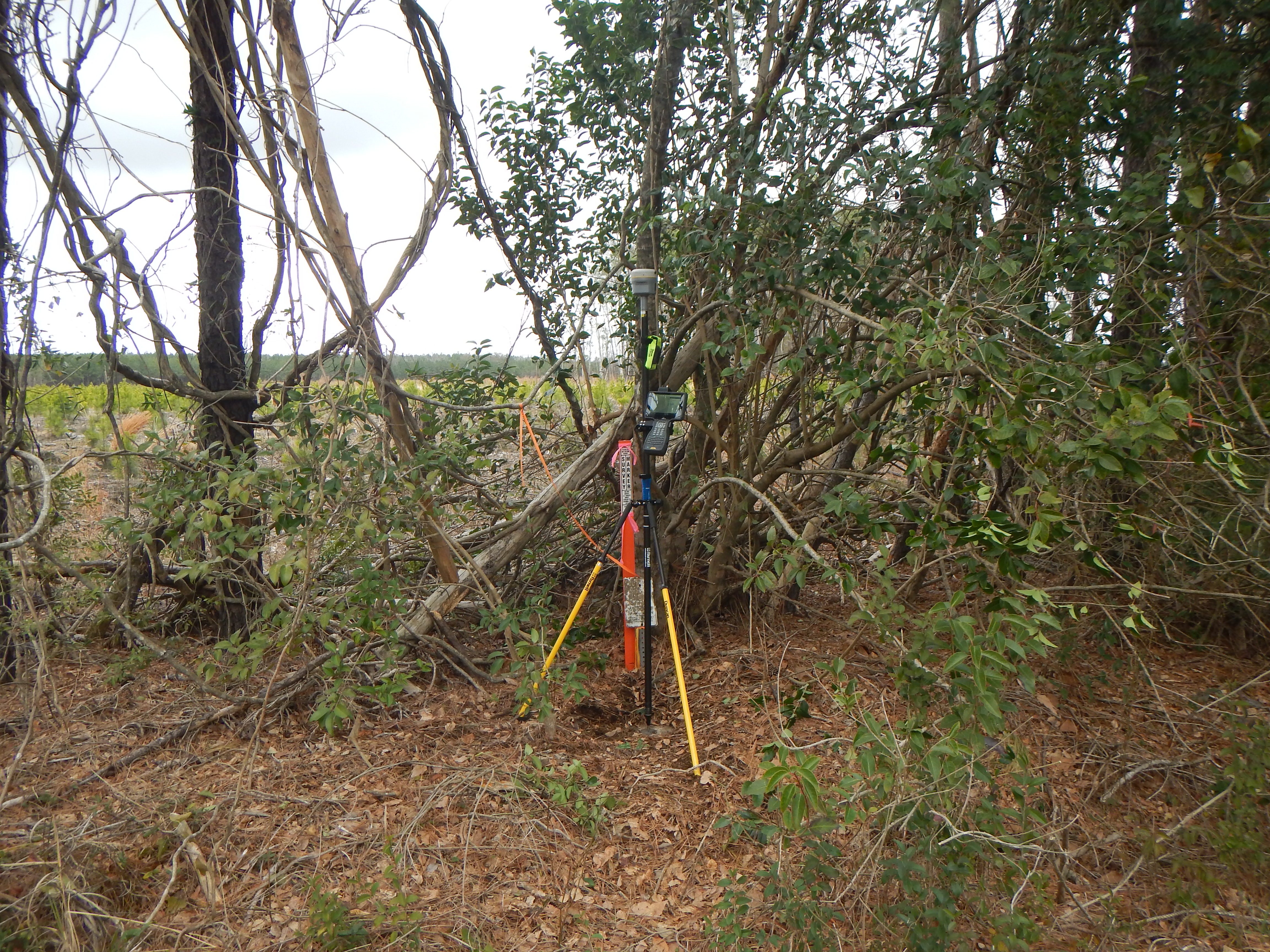 NGS_Mon_45_108_1984_ VERT_3(Distance) | South Carolina Revenue and Fiscal Affairs Office